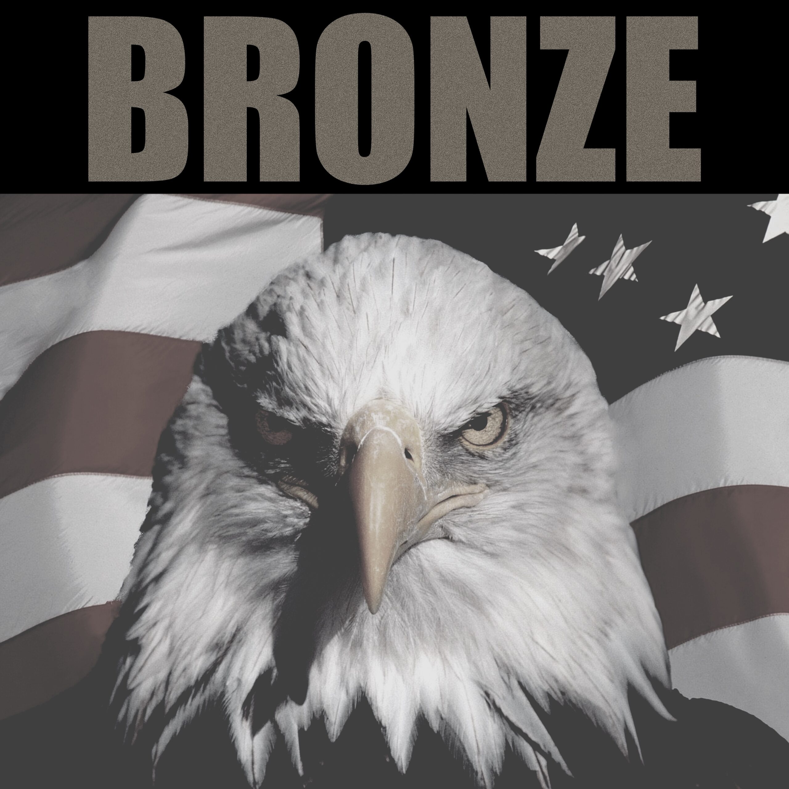 BRONZE LEVEL - TacPack